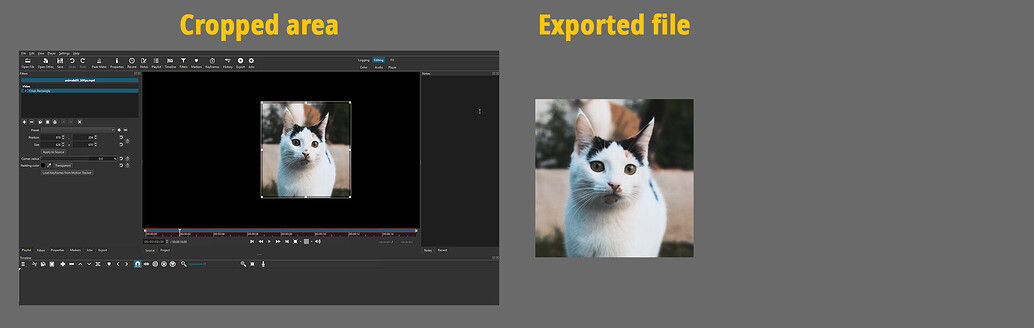 Crop: Rectangle Video Filter - Documentation - English - Shotcut Forum