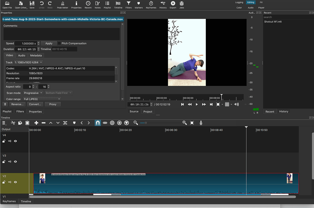 How do I add a landscape background colour to a portrait video - Help ...