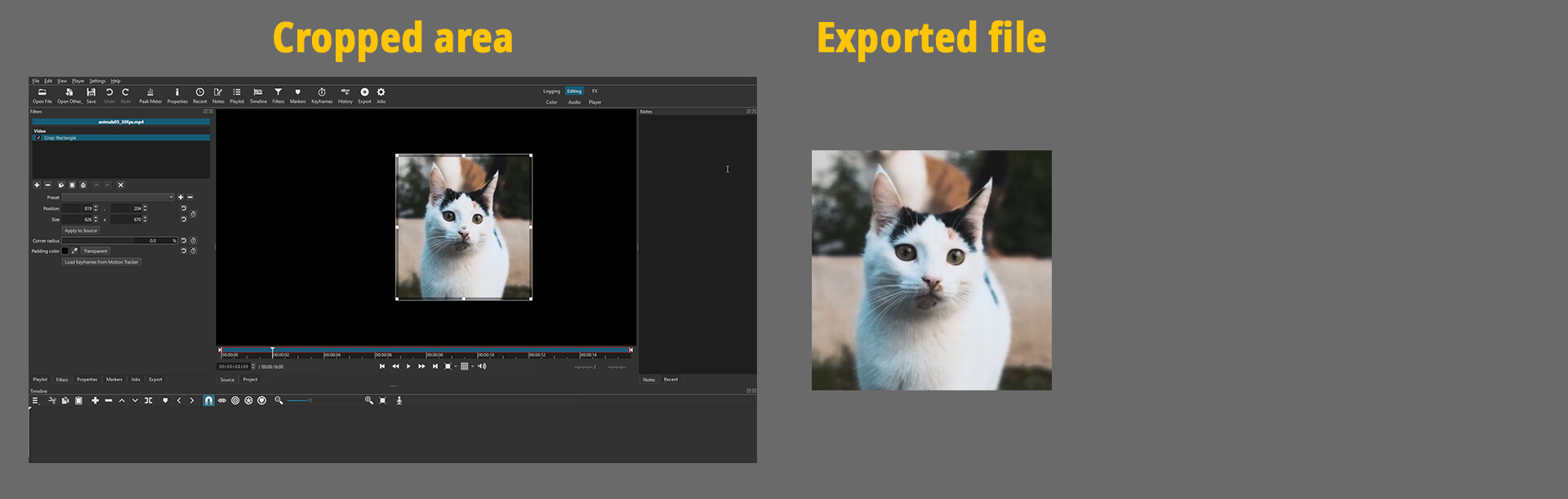 Crop: Rectangle Video Filter - Documentation - English - Shotcut Forum